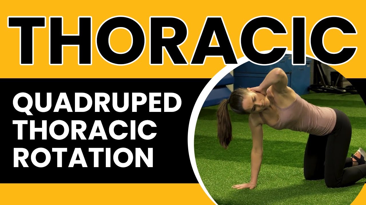 Quadruped Thoracic Rotation - YouTube