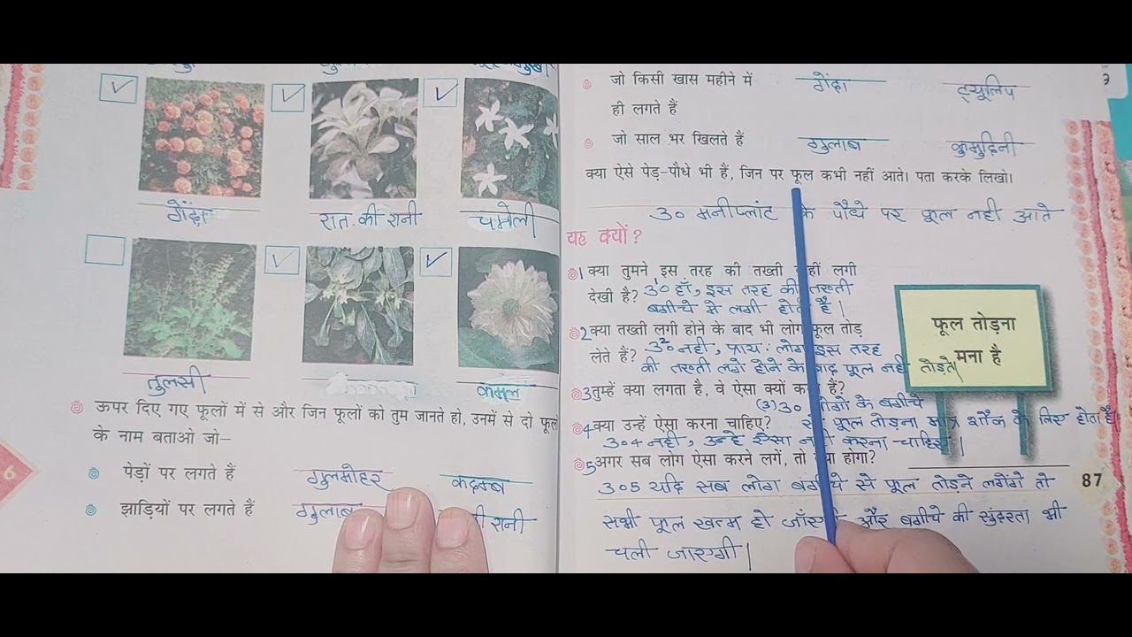 class 4 chapter 11 question answer phulwari hindi medium EVS cbse ncert ...