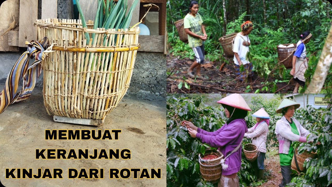 CARA MEMBUAT KERANJANG TRADISIONAL DARI ROTAN/HOW TO MAKE BASKETS FROM ...