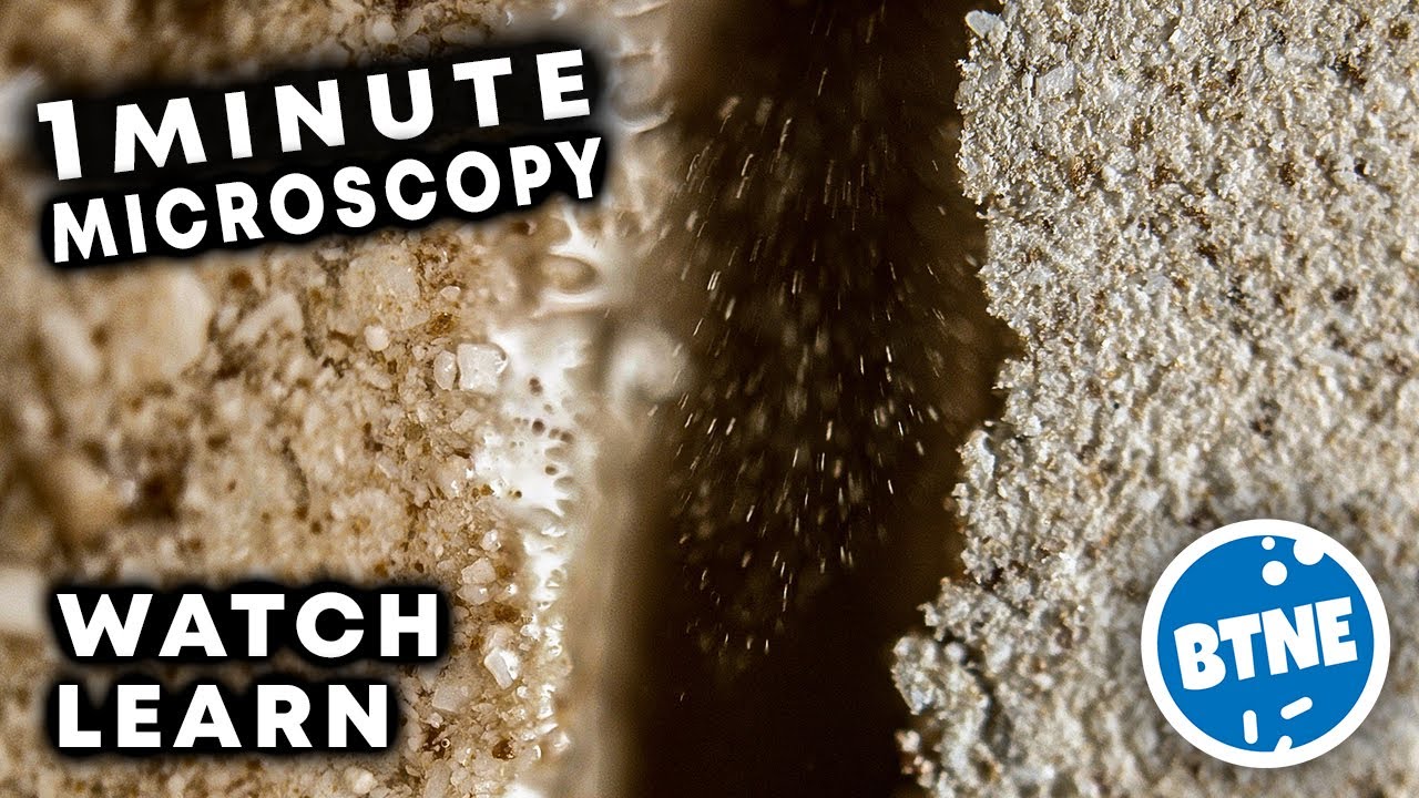 Thistle MultiFinish Plaster 60 Seconds Under The Microscope - Watch ...