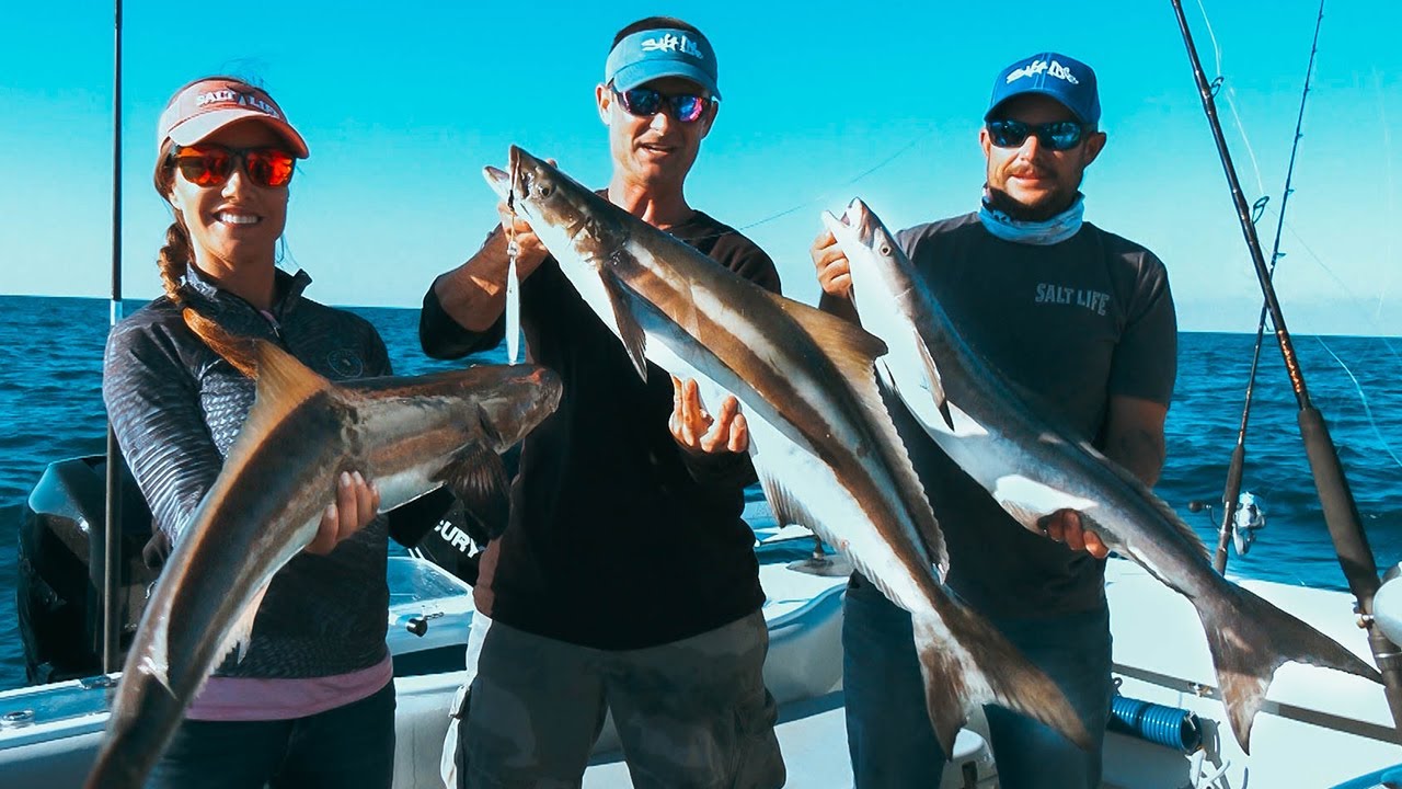 Wreck Fishing and COBIA MADNESS w/ Jimmy & Luiza! - YouTube