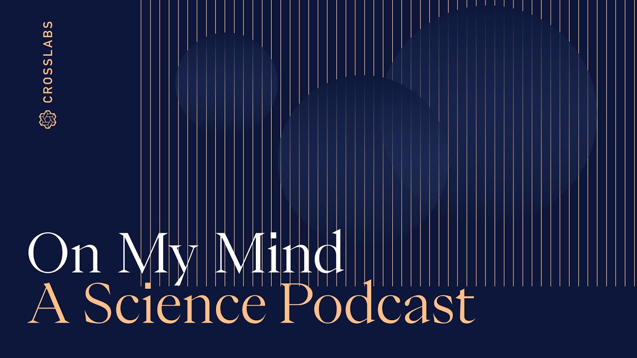On My Mind #13: Life's Role in Entropy - YouTube