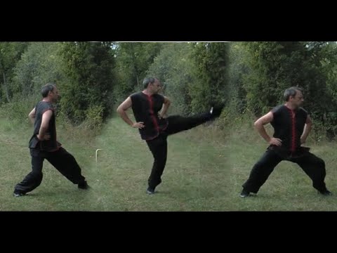 les Bases du Kung Fu : Postures et Pas ! - YouTube