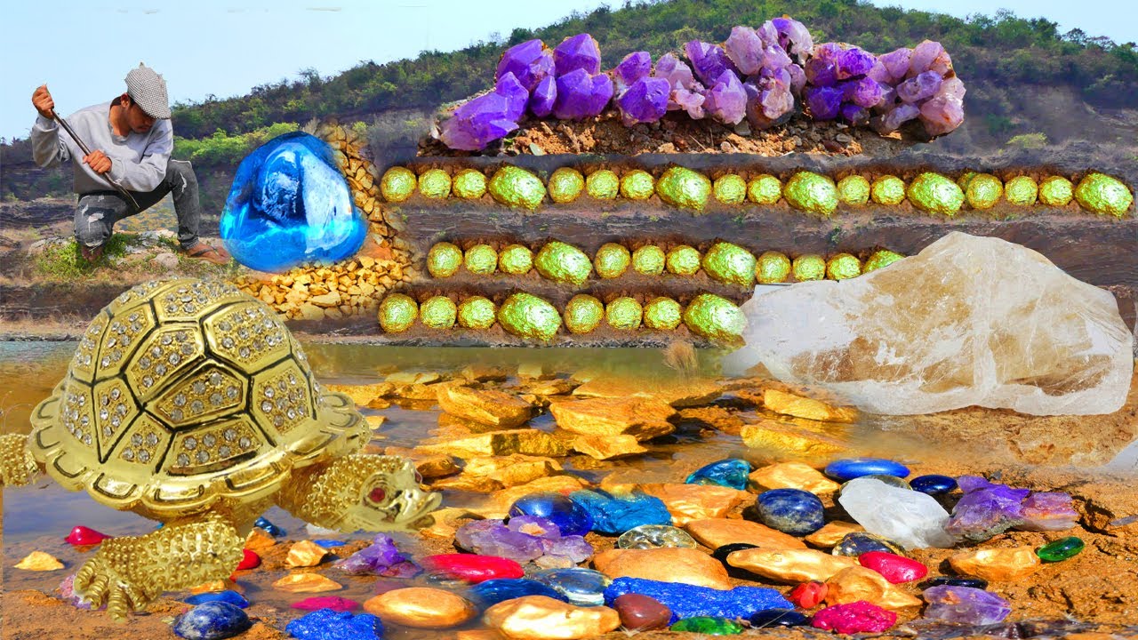 I have found the priceless treasure of the golden turtle that everyone ...