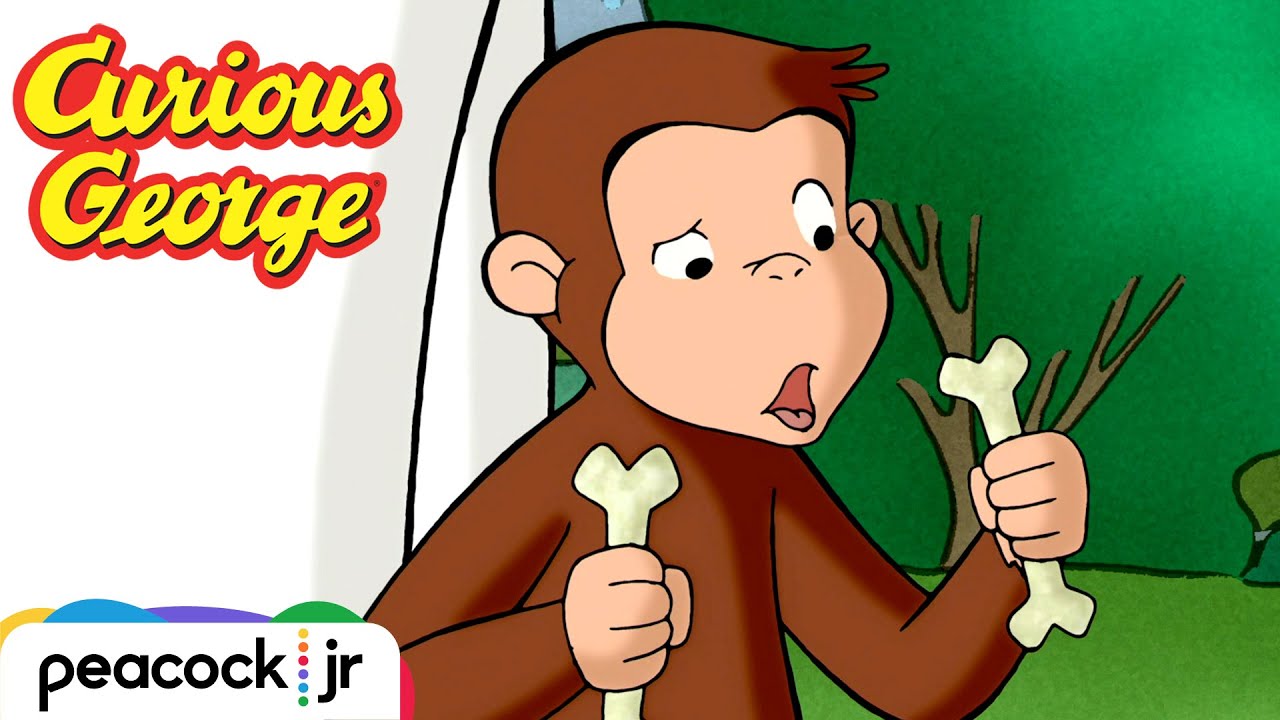 George Has a Bone to Pick! | CURIOUS GEORGE - YouTube