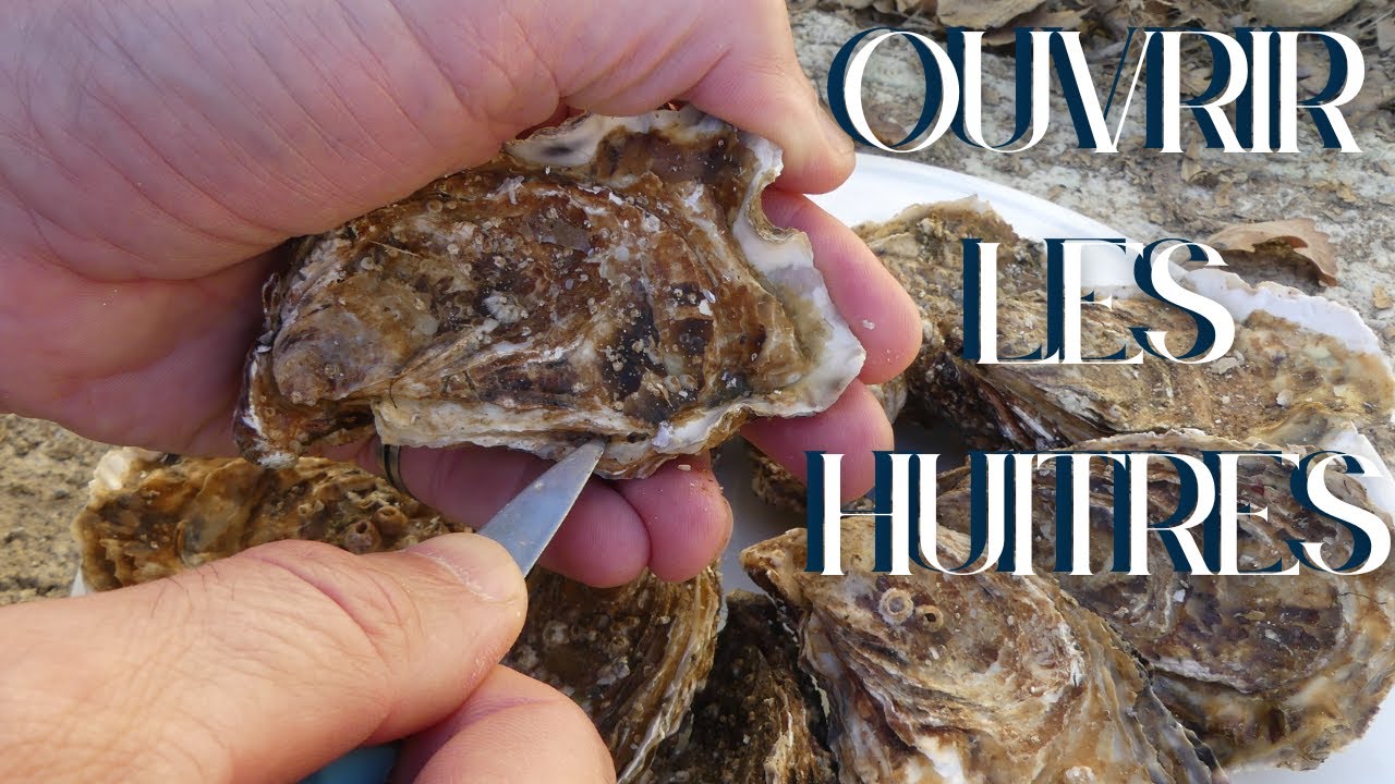 Tutoriel complet Comment Ouvrir des Huîtres facilement et rapidement ...