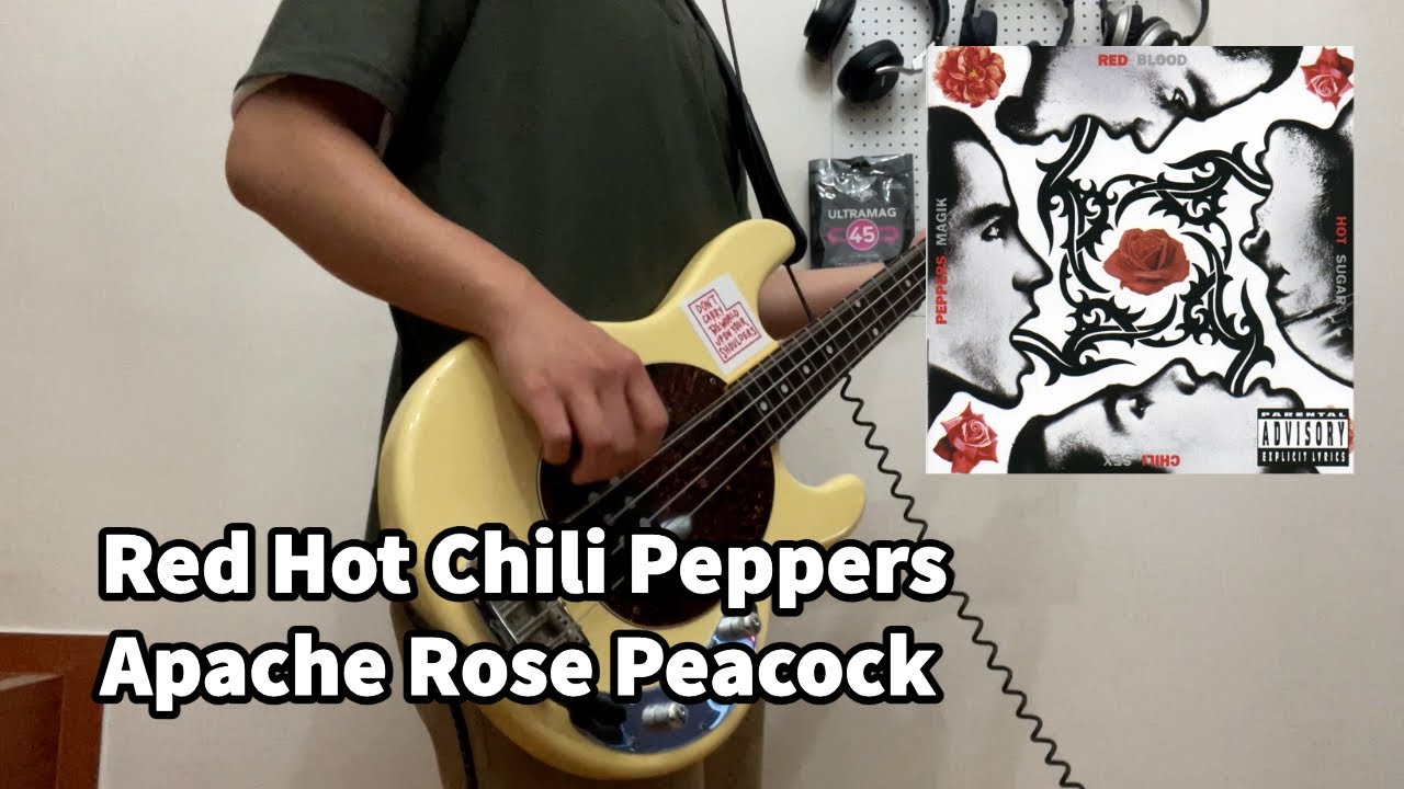 Red Hot Chili Peppers - Apache Rose Peacock [BASS COVER] - YouTube