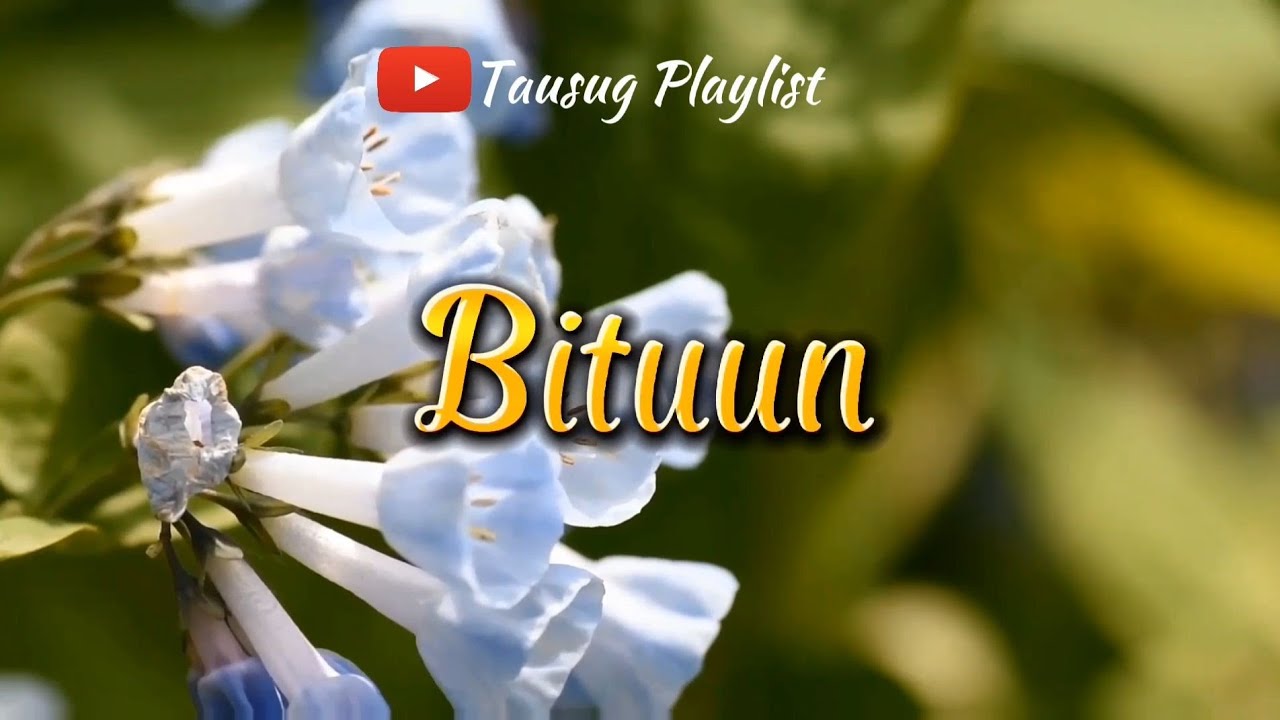Bituun - Tausug Song Karaoke HD - YouTube Music