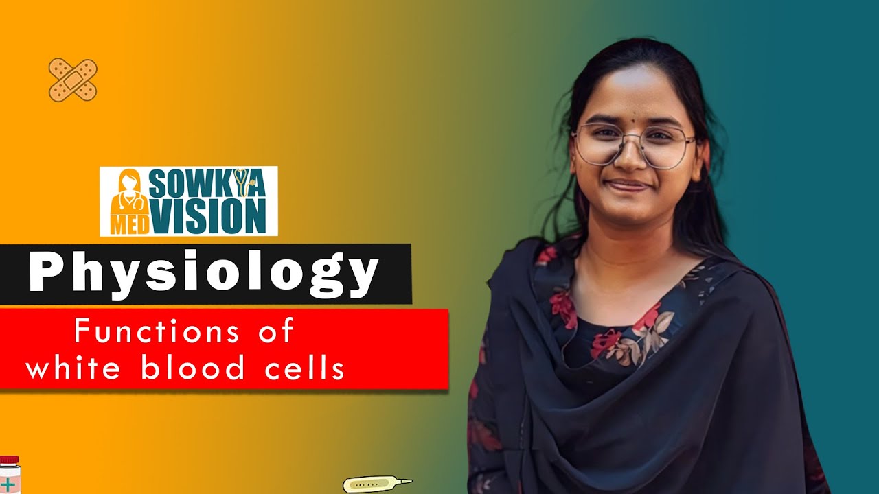 Functions of white blood cells | Physiology | Sowkya Med Vision - YouTube