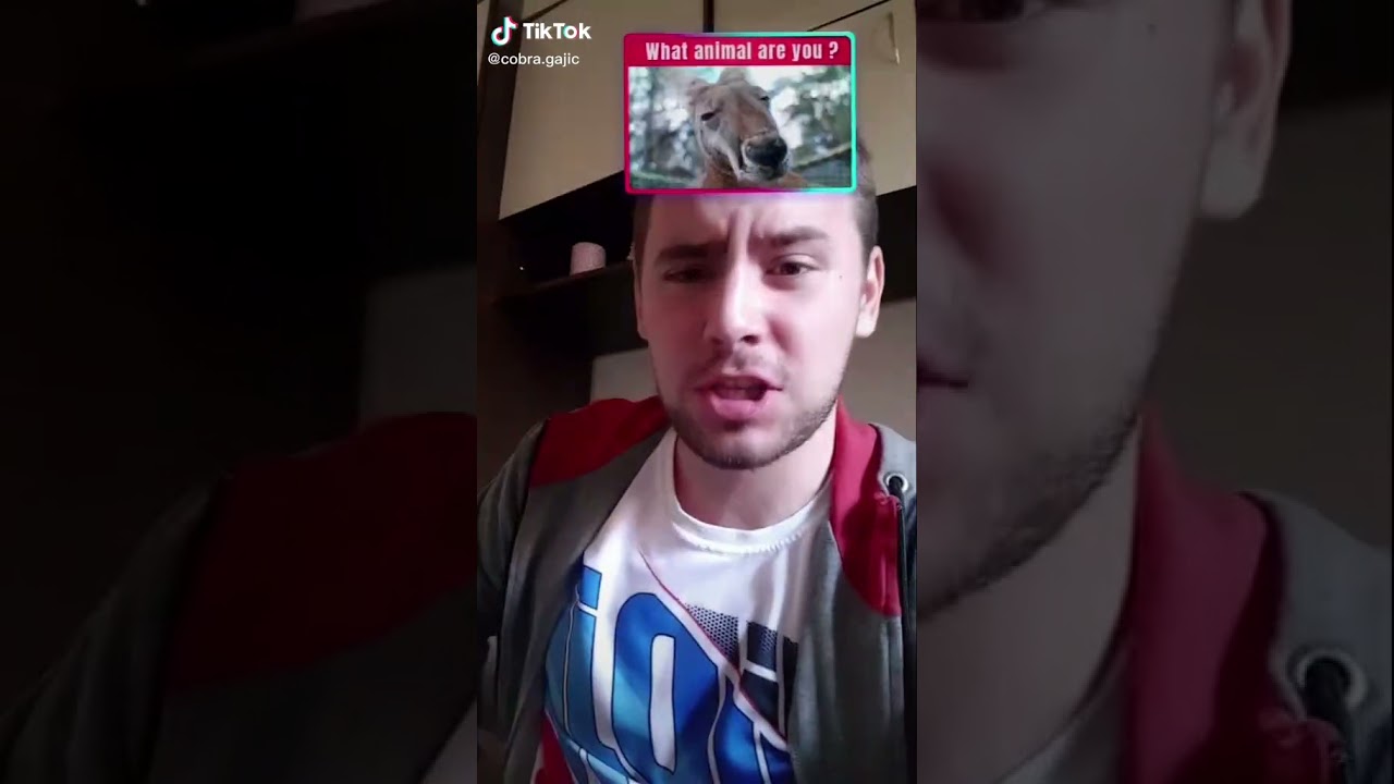 Braco Gajic TikTok - YouTube
