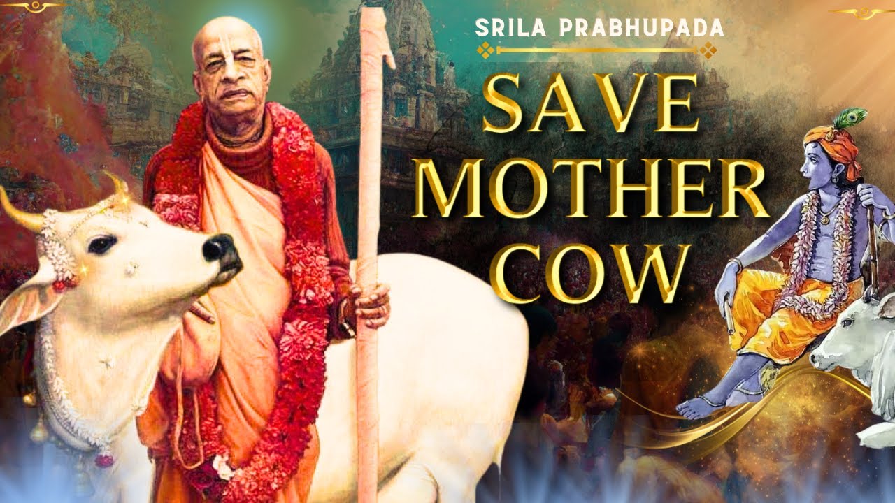 #ISKCON - Cow Protection Model || Srila Prabhupada || ISKCON GauShala ...