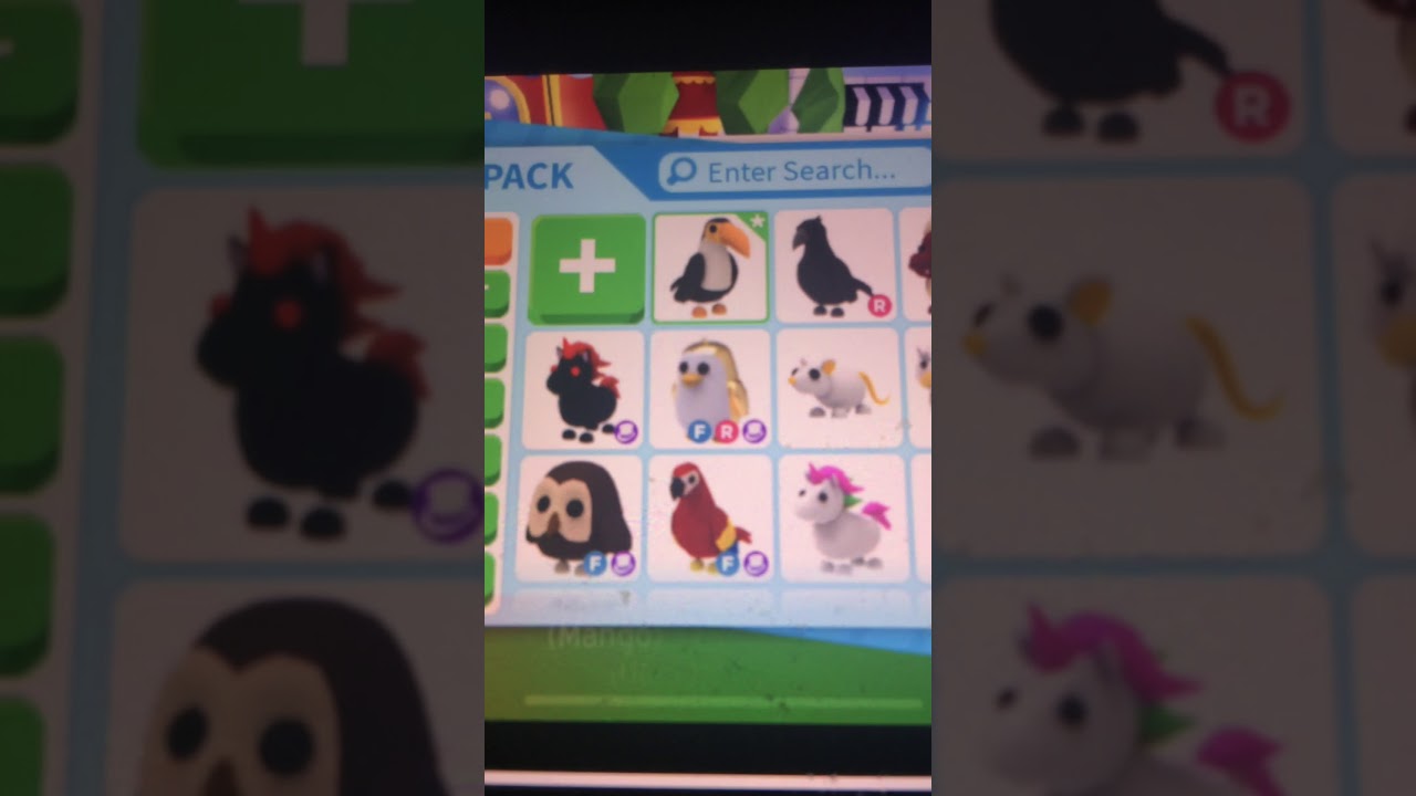Obtaining the TOUCAN FROM STAR REWARDS! Adopt Me - Roblox - YouTube