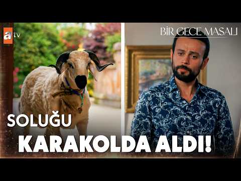 Ferman’dan bayramlık koç için arama emri! | Bir Gece Masalı 35. Bölüm | Arşiv Sahneler