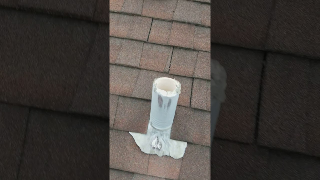Are Squirrels Eating Your Lead Pipe Jacks On Your Dallas Area Roof Are Squirrels Eating Your Lead Pipe Jacks On Your Dallas Area Roof