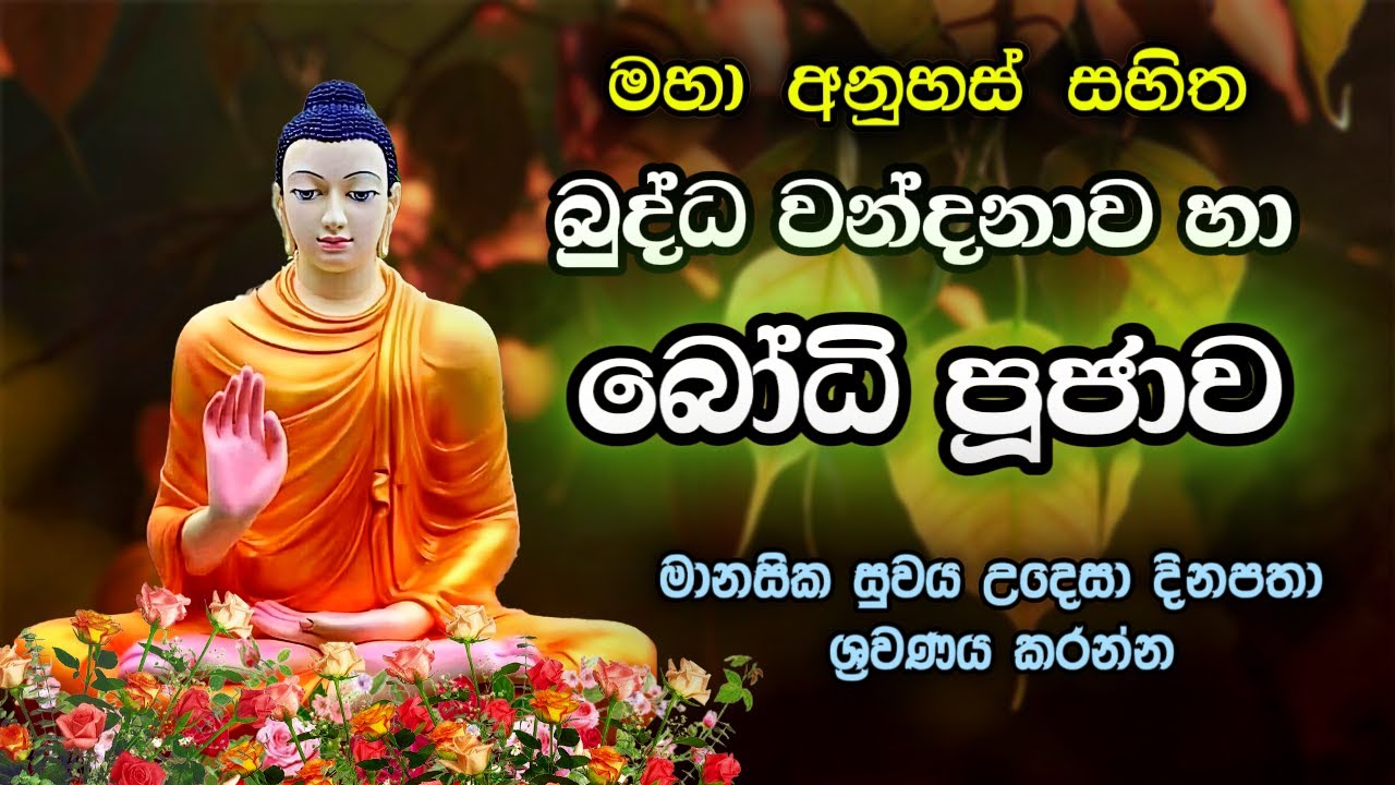 BUDDHA WANDANAWA HA Bodhi PUJAWA /🙏බුද්ධ වන්දනාව හා බෝධි පූජාව pirith ...