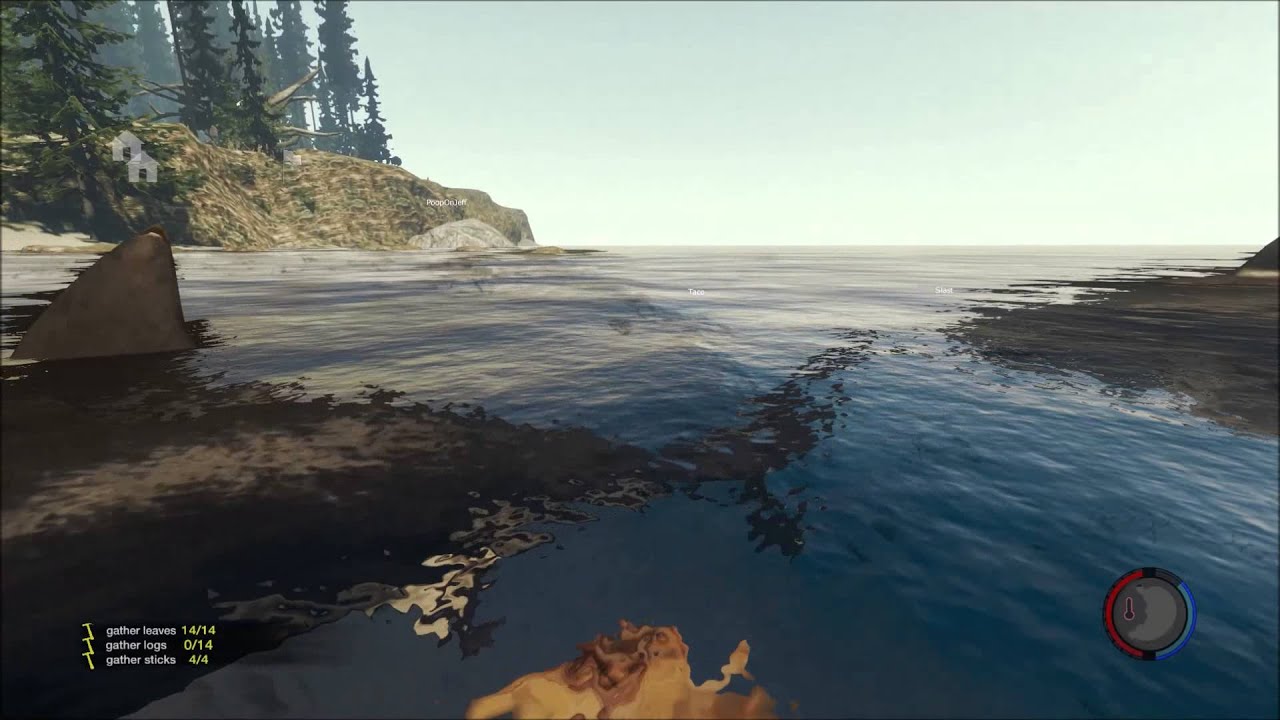 The Forest Swimming with the Fishes (Sharks that is) - YouTube