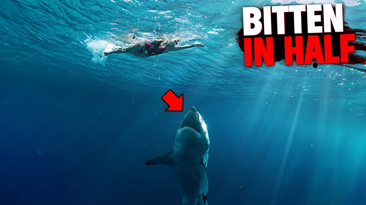 1 Hour of People People Bitten IN HALF By Sharks With No Mercy! - YouTube