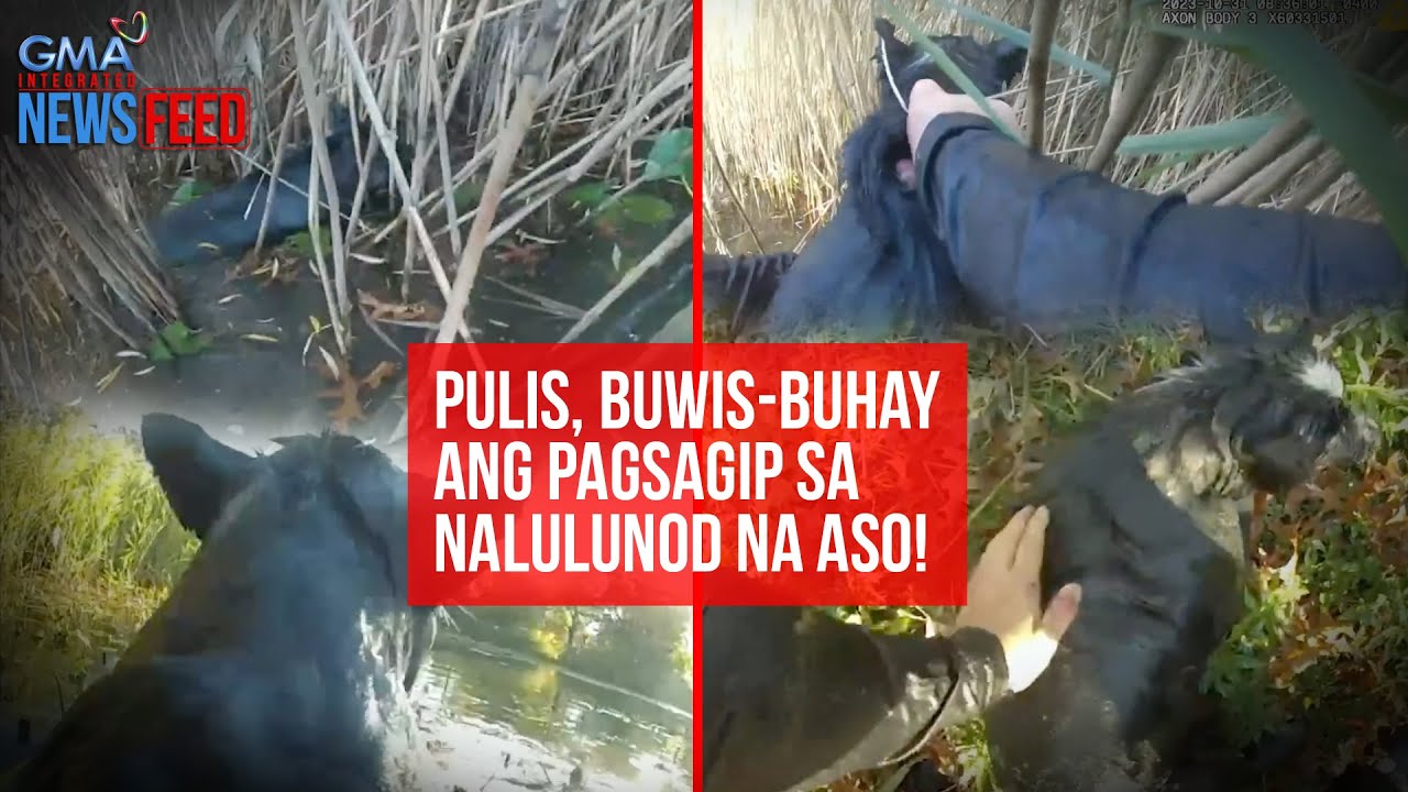 Pulis, buwis-buhay ang pagsagip sa nalulunod na aso! | GMA Integrated ...