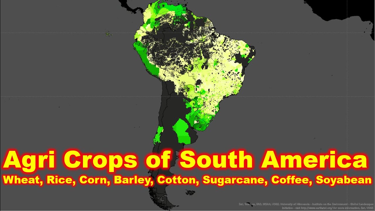 Agriculture Crops of South America: Wheat, Rice, Corn, Barley, Cotton ...