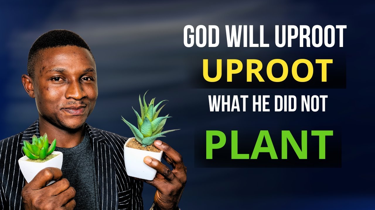 GOD will UPROOT What He Did not PLANT in You | Matthew 15:13 - YouTube