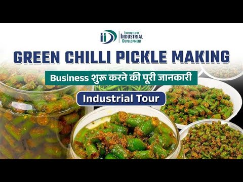 शुरू करे हरी मिर्च के अचार का व्यवसाय || Start Green Chili Pickle ...