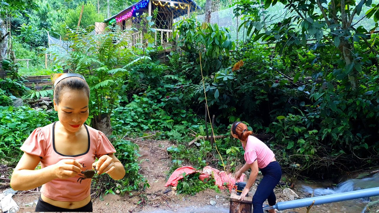 Installing mini hydroelectric power after floods, catching stone crabs ...