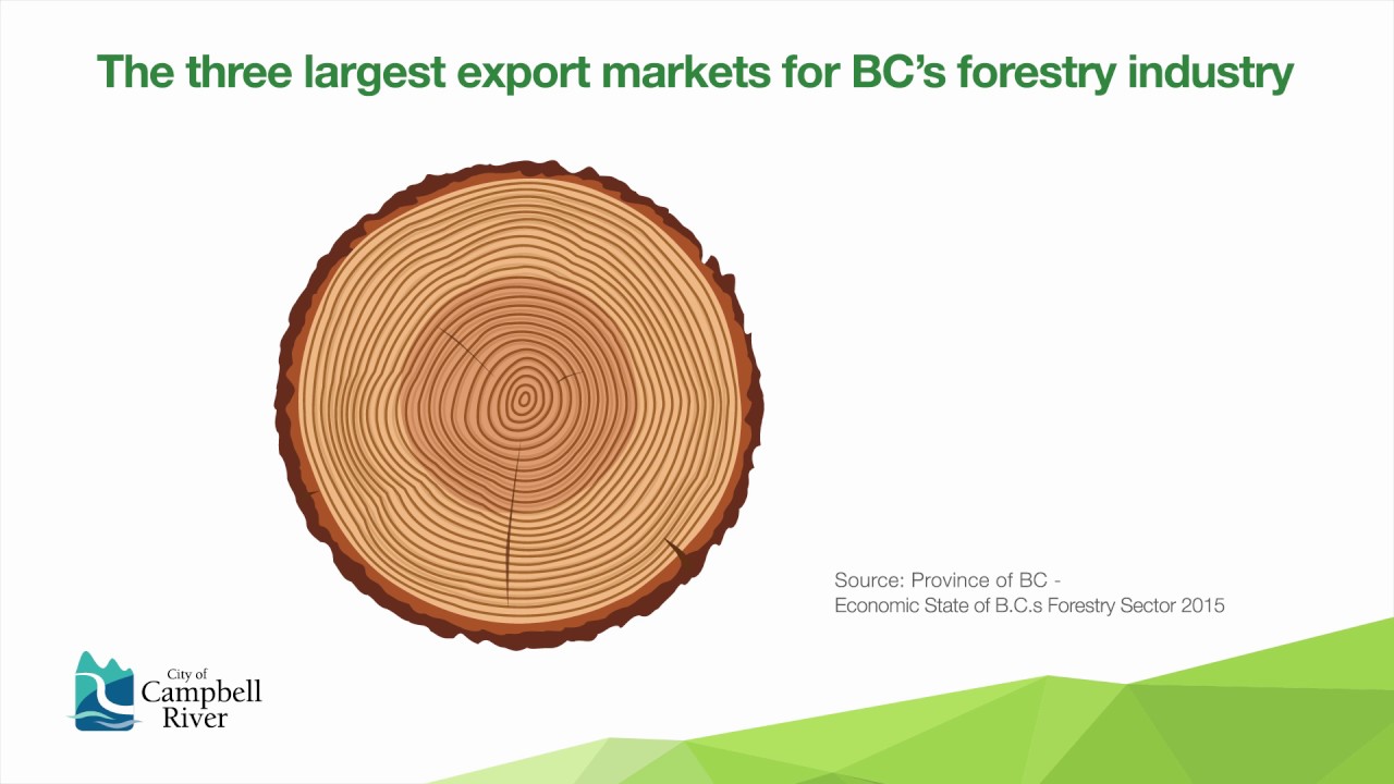 Forestry Sector Infographic - YouTube