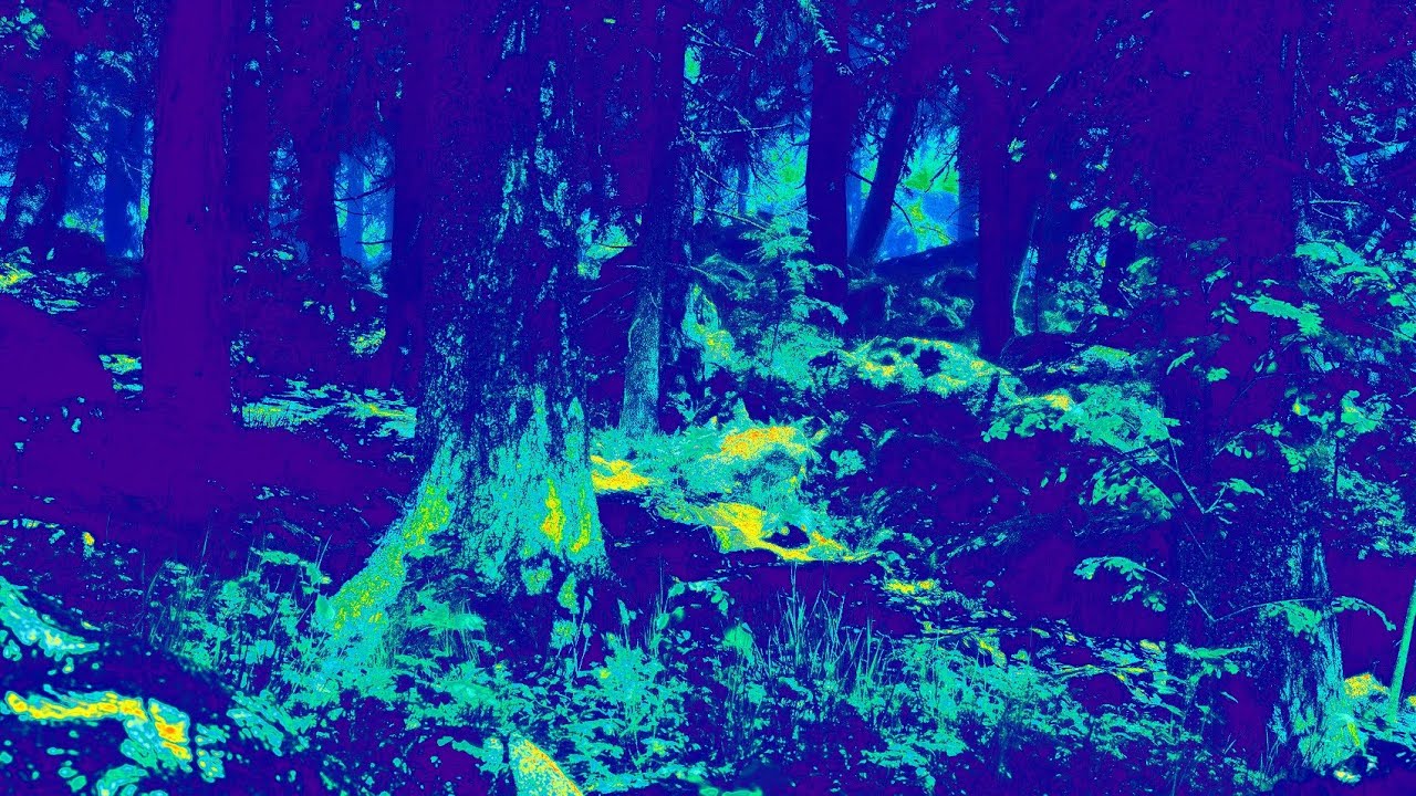 This here's that ambient track I use - YouTube