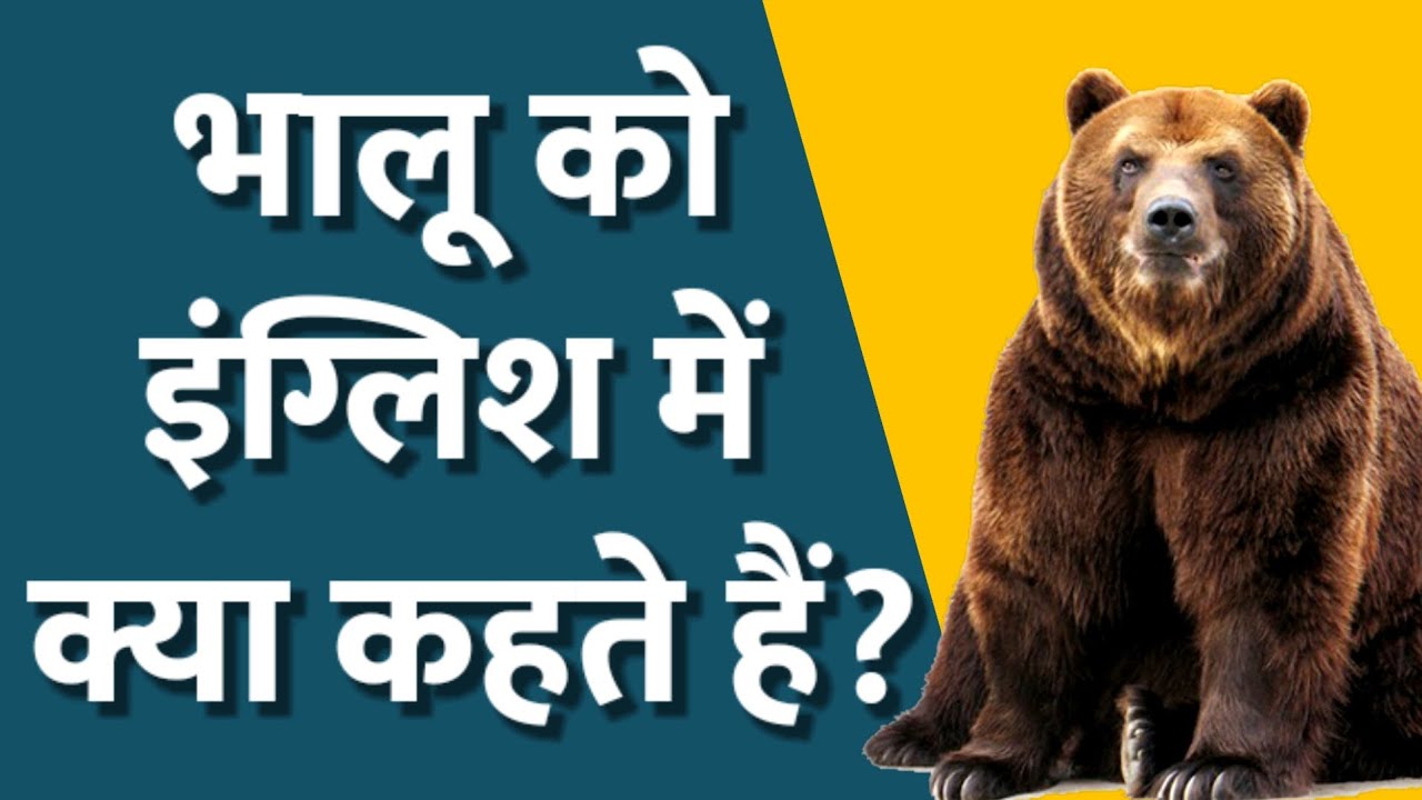 Bhalu In English | भालू का इंग्लिश | Bhalu ko English mein kya kehate ...