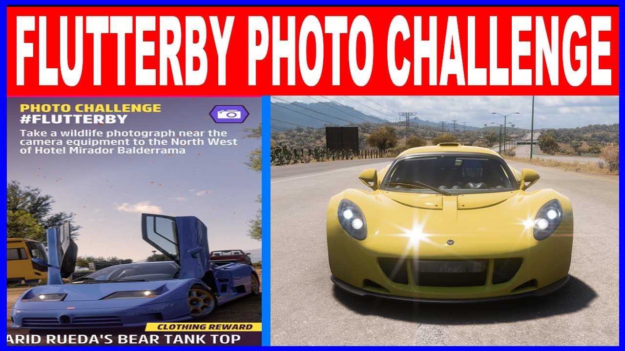 Forza Horizon 5 FLUTTERBY Photo Challenge Take a wildlife camera ...