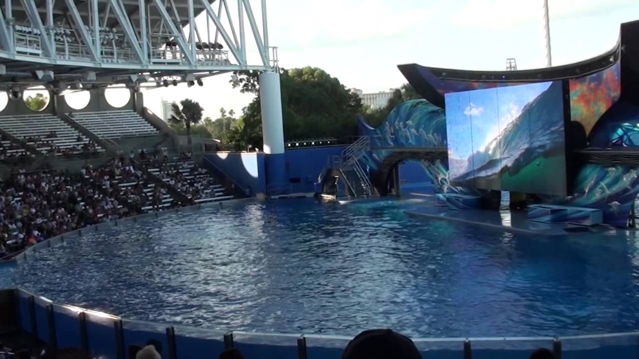 One Ocean SeaWorld Orlando - YouTube