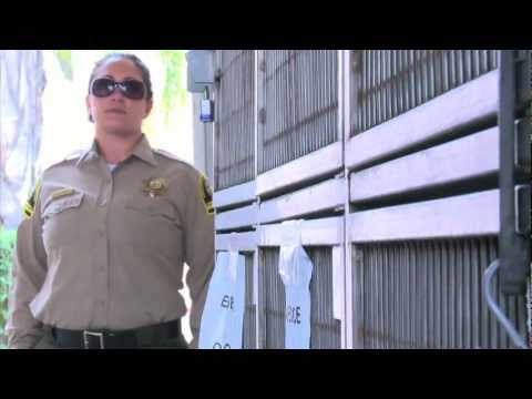 Humane Hero Award - Officer Melissa Prettyman - San Diego Humane ...
