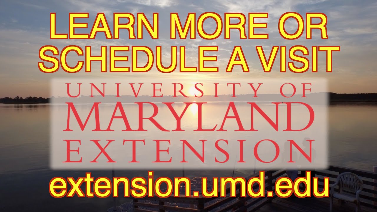 University of Maryland Extension - Upper Shore Promo - YouTube