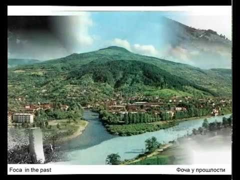 Foca stare slike - YouTube