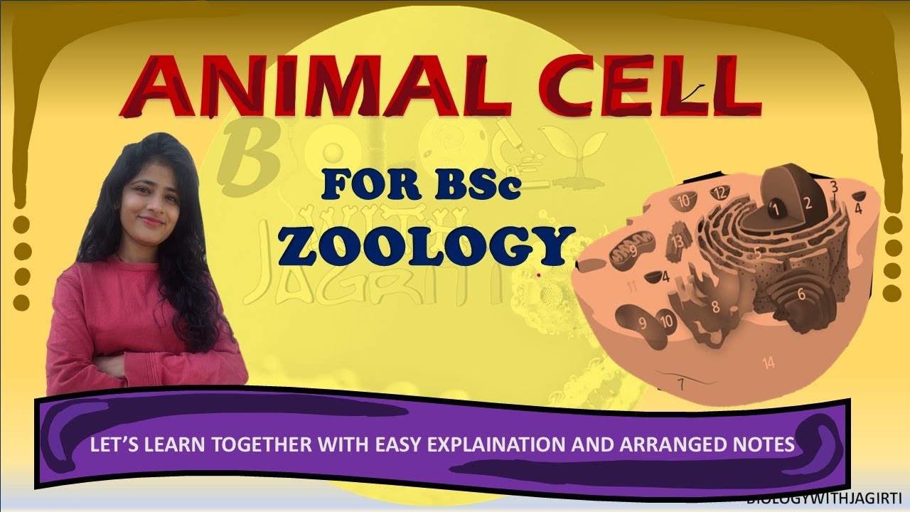 ANIMAL CELL EUKARYOTIC CELL BSC ZOOLOGY 3 SEMESTER | BIOLOGYWITHJAGRITI ...