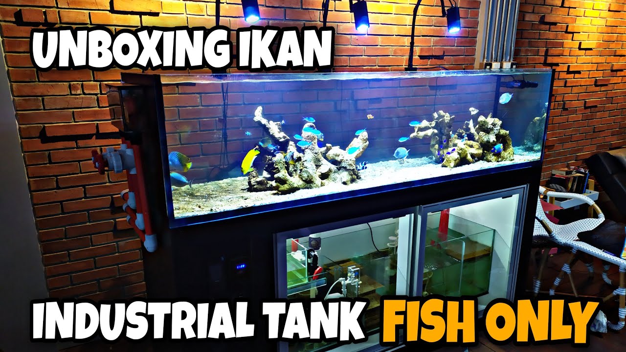 UNBOXING IKAN | INDUSTRIAL MARINE TANK | FISH ONLY - YouTube