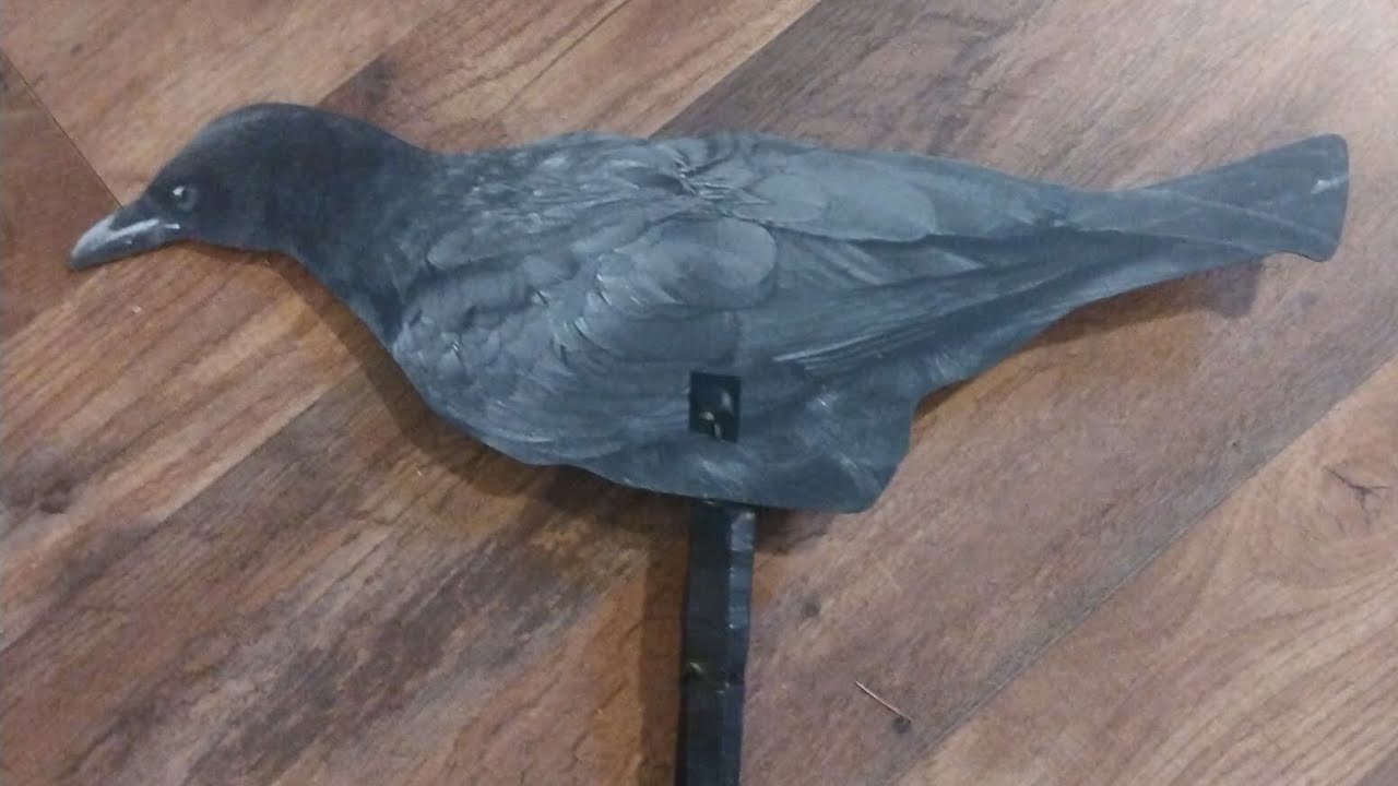 Outlaw Crow Decoy Review - YouTube