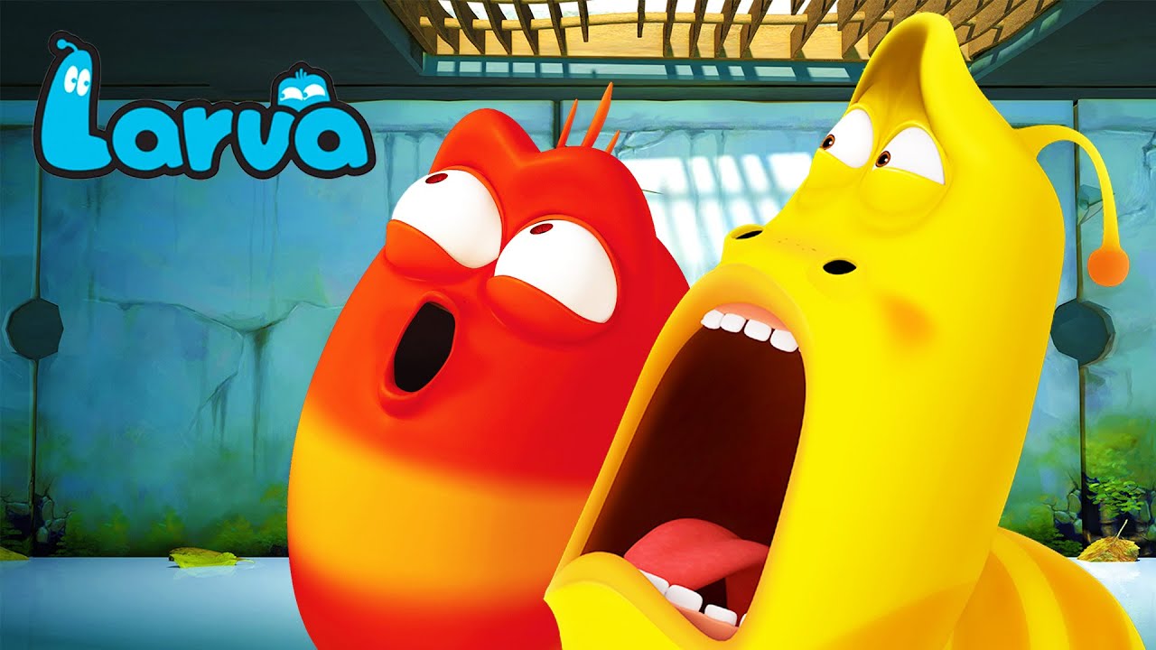 SCARY NIGHT | LARVA | Cartoons for Kids | WildBrain Toons - YouTube