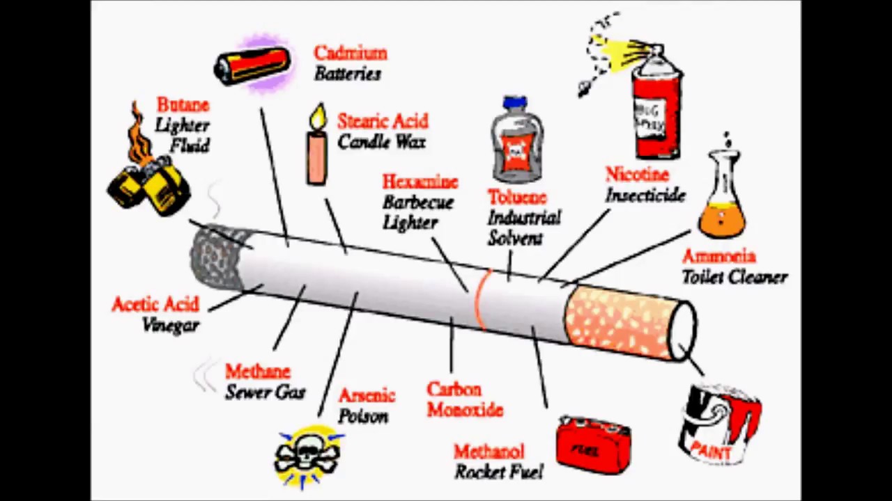 Anti-Smoking PSA | Commercial | Homeschool | Science Collab - YouTube