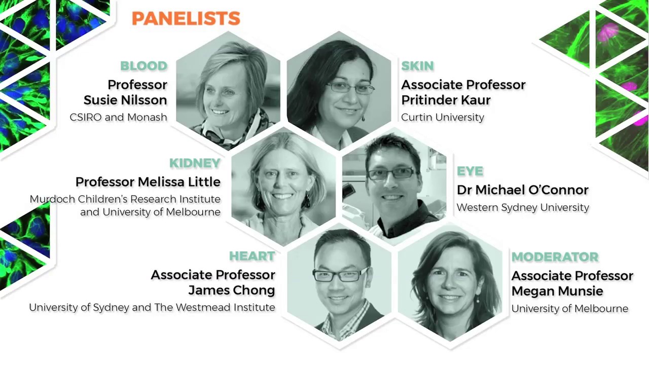 Stem Cell Research - Now and in the Future - highlights - YouTube