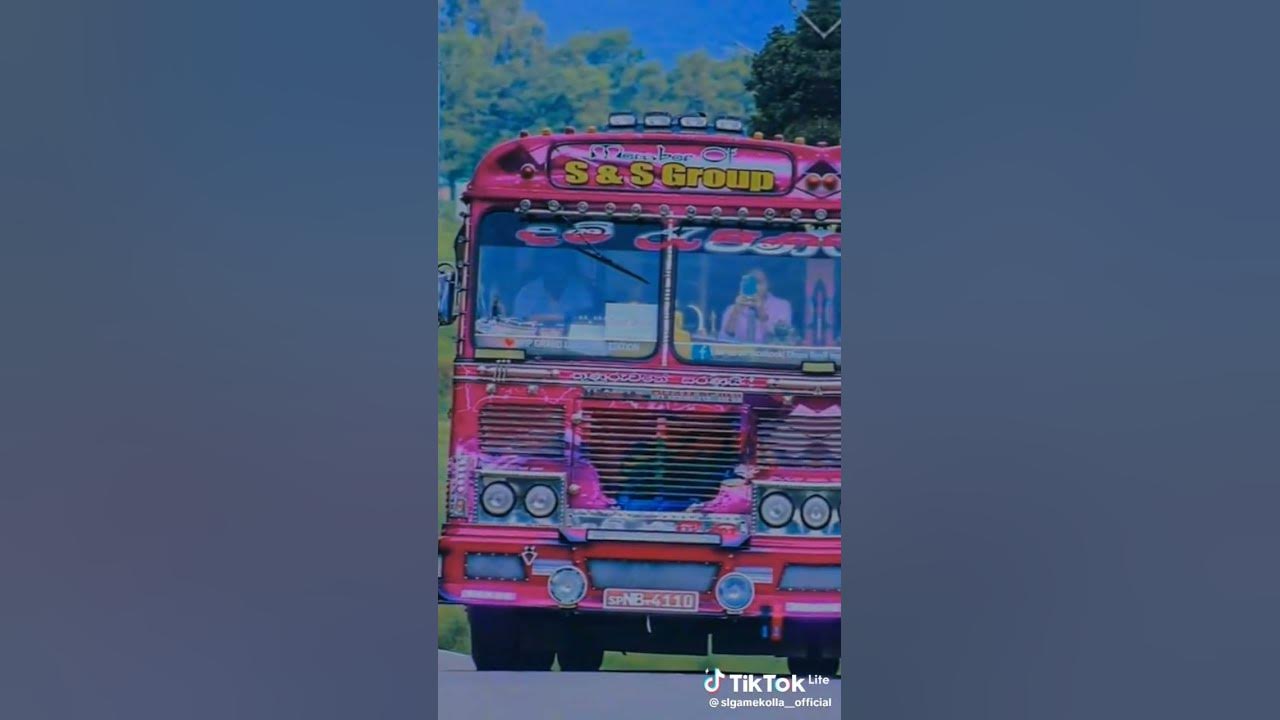බස් පිස්සෝ 😂😂😂😂😂bus Tik Tok Youtube