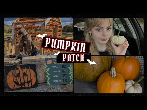 Pumpkin Patch || Halloween Prep || *Wholesome* Horror Movie Night ...