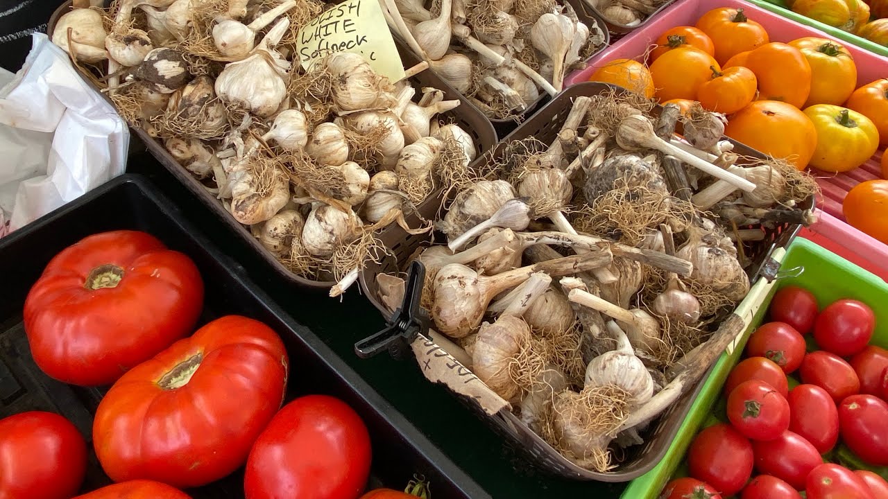 Kudos to the German Lunchbox Tomato 🍅 It’s a keeper! - YouTube