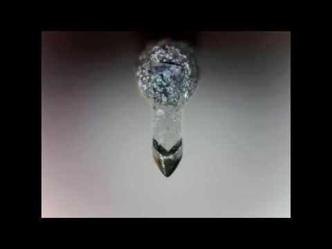 Ortofon Cadenza Black - Shibata stylus under microscope - YouTube