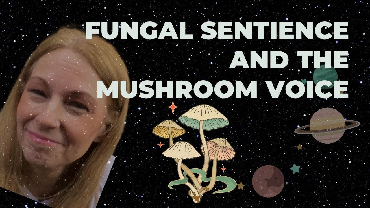 Fungi Sentience & Mushroom Voice - YouTube