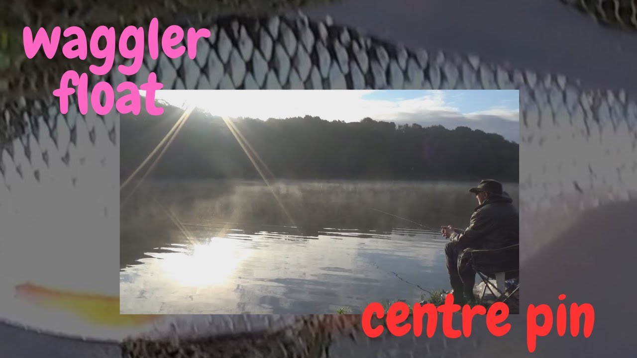 Extreme pleasure fishing for ROACH! Stunners from my local park lake ...