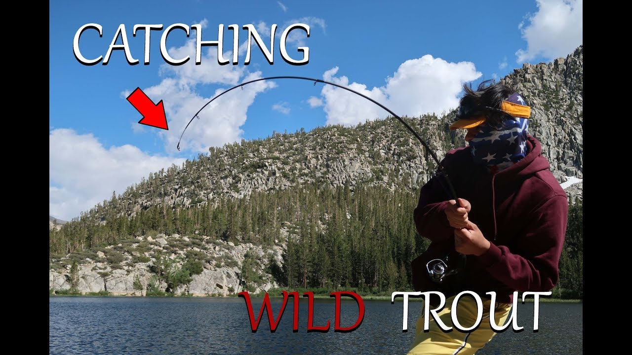 Tyee Lakes: First Time Backpacking and Catching Trout! - YouTube