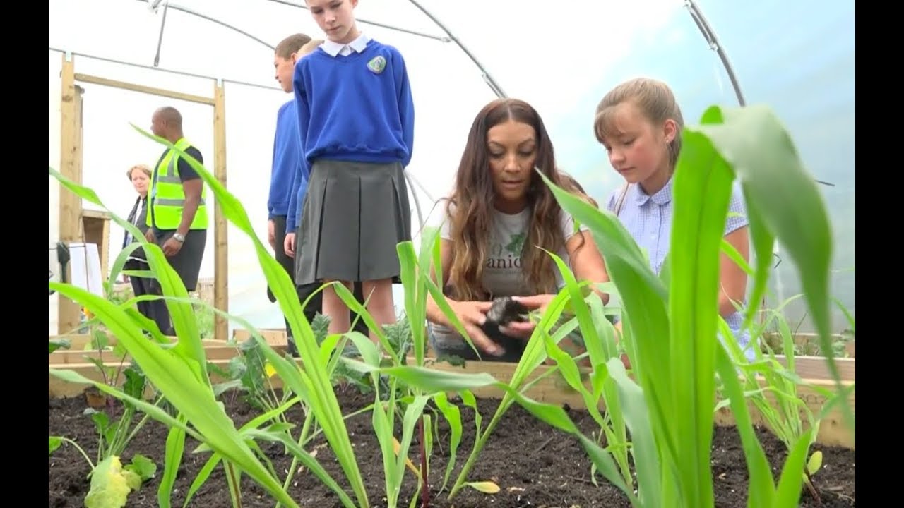 School children growing their own fruit and veg to learn about healthy ...