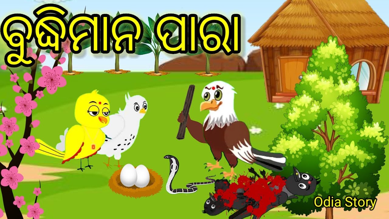 Budhiman para|Tuni Chidiyan|Tiki Chadhei Gapa|Moral Stories|Odia Birds ...