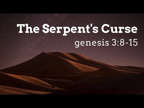 Genesis 3:8-15 "The Serpent's Curse" - Pastor Matthew Johnson - YouTube